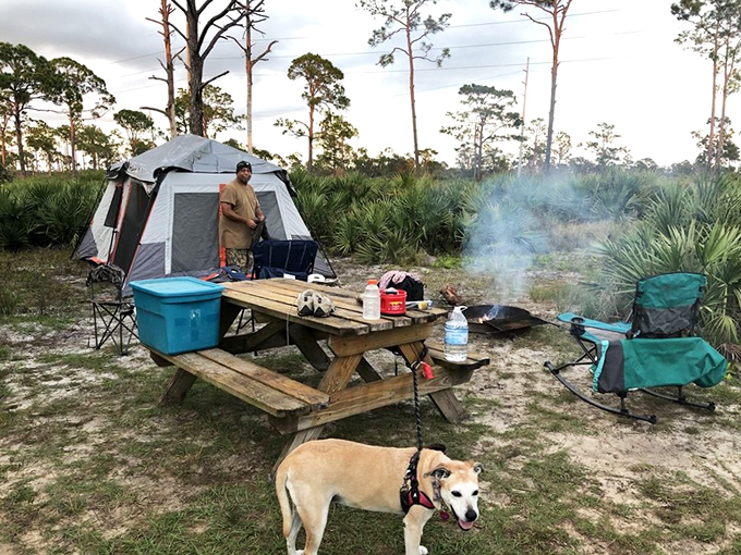 Camping under stars so bright they make city lights look like amateur hour.