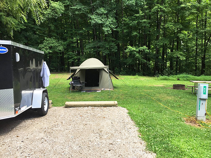 Camping here means your biggest decision is which tree provides the best morning shade.