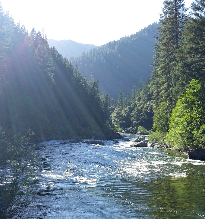 Sunbeams dance across the North Yuba River like nature's own light show, creating the kind of scene that makes you forget deadlines, emails, and whatever else was stressing you out.