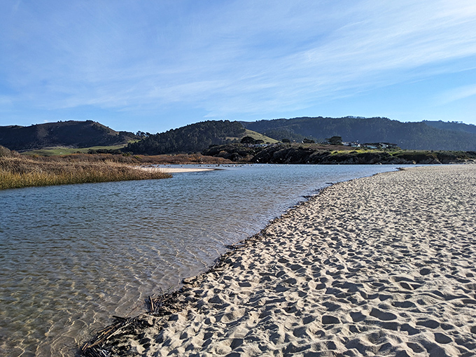The gentle meeting of Carmel River and ocean creates a sanctuary where both water and visitors pause to catch their breath.