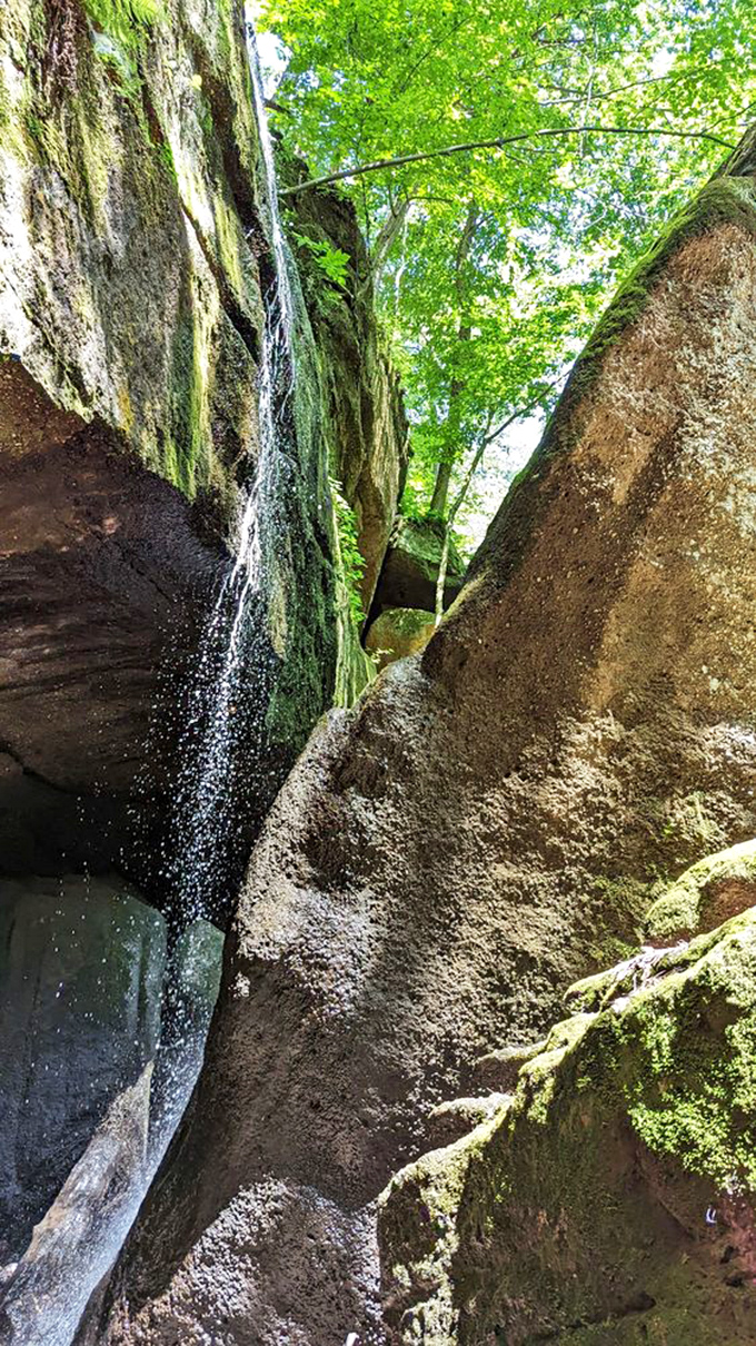 Water finding its most graceful path. This slender cascade tumbles between sun-dappled rocks, creating a scene worthy of meditation or marriage proposals.