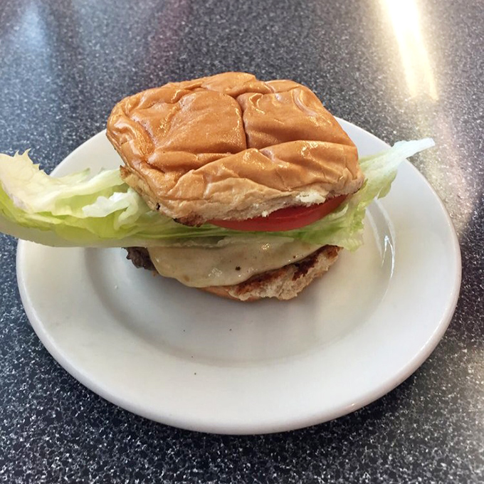 The humble cheeseburger &ndash; mankind's greatest invention next to fire and the wheel &ndash; in its natural habitat: a small-town Pennsylvania diner.