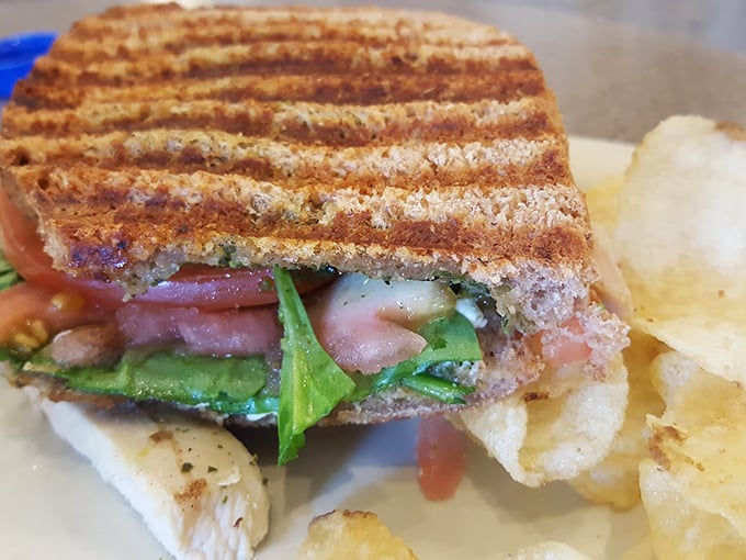 A perfectly pressed panini reveals its treasures: layers of chicken, fresh greens, and vibrant tomato nestled between bread with grill marks worthy of a backyard BBQ champion.