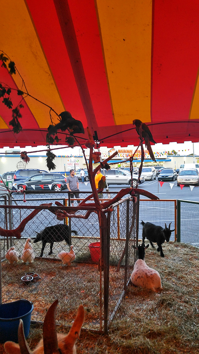 A petting zoo with goats and chickens? This isn't just shopping&mdash;it's a full-fledged family field trip disguised as a bargain hunt.
