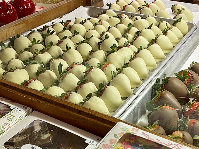 White chocolate-dipped strawberries arranged with military precision, their green tops providing the perfect color contrast to their creamy coats.