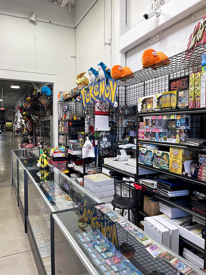 Pok&eacute;mon cards behind glass, like rare artifacts in a museum. The difference? These treasures can actually be yours&mdash;for the right price.