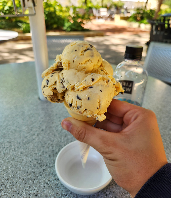 Ice cream perfection held by a lucky hand. That cone contains more happiness than most people experience in an entire workweek.
