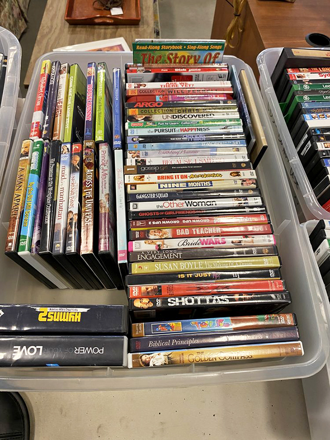 DVD collections offer cinematic journeys for pocket change&mdash;from Hollywood blockbusters to documentaries that never got their fair shake.