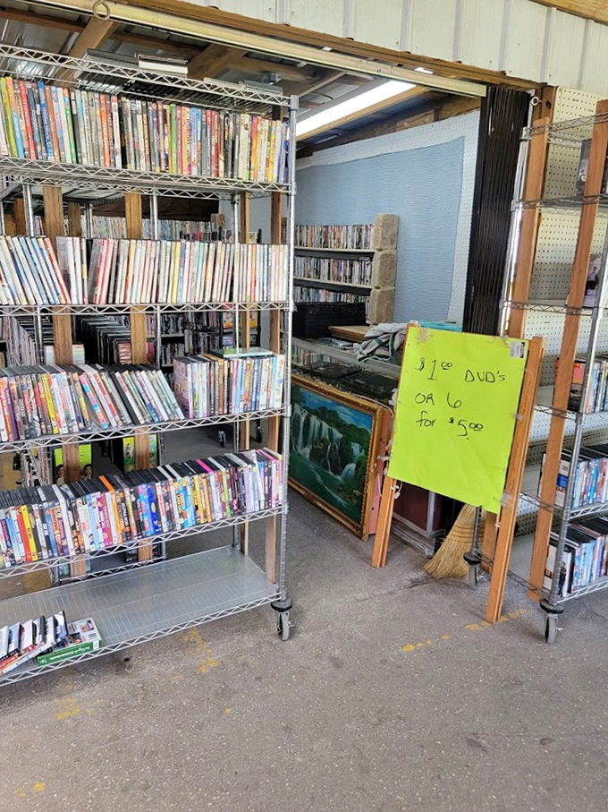 The DVD archive – where forgotten films and TV series find second lives at prices that make streaming services seem like highway robbery.