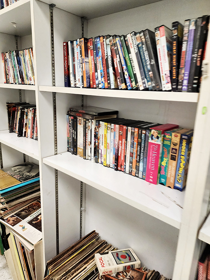 The media section: where yesterday's blockbusters and forgotten sitcoms find new audiences. Physical media lives on in this digital detox zone.