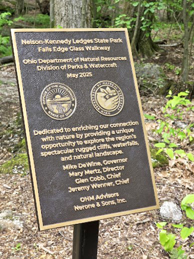 The park's dedication plaque reminds us that even bureaucracy occasionally results in something magnificent&mdash;like finding a gourmet meal at the DMV.