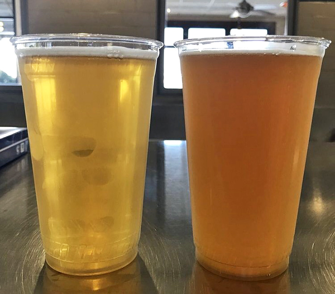 Cold beer and seafood: a pairing as timeless as Bogart and Bacall, especially when enjoyed with harbor views.