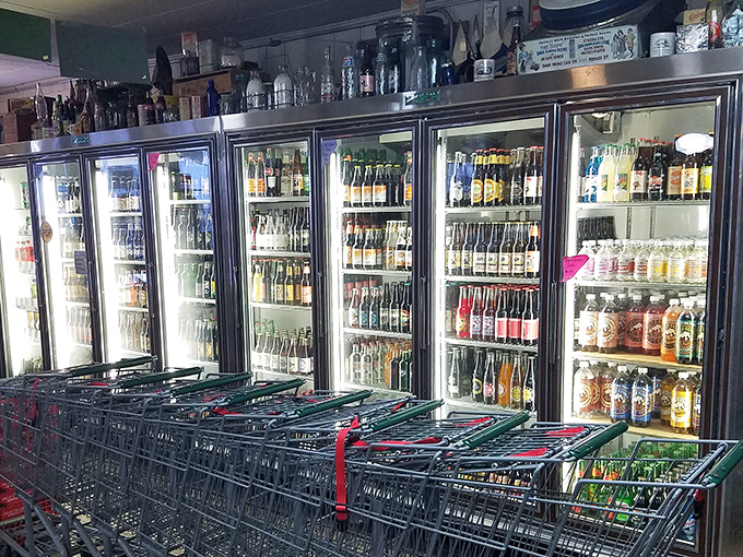 The beverage section isn't just stocked—it's curated. Behind those glass doors lie the perfect companions for whatever sandwich masterpiece you've chosen.