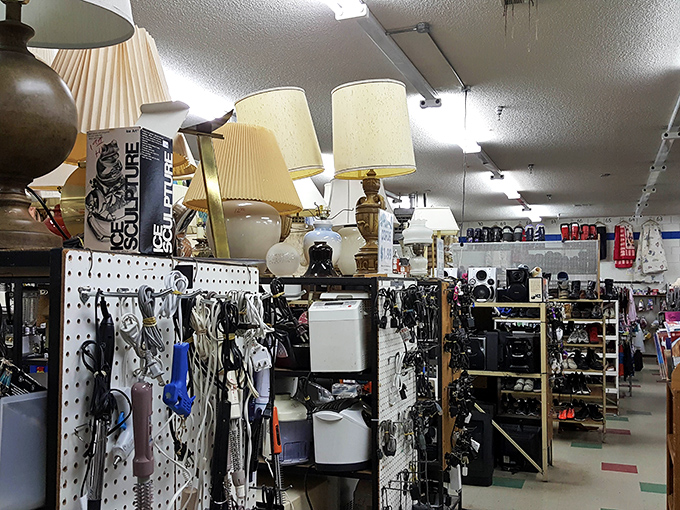 The electronics section: where yesterday's must-have gadgets wait patiently for the "everything old is cool again" revival they deserve.