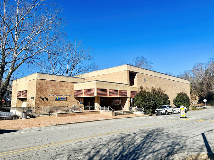 The public library stands as a testament to community values&mdash;knowledge, accessibility, and that wonderful feeling of discovering your next favorite book.