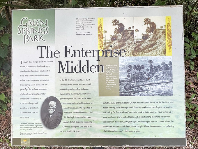 History lessons that don't require a dusty textbook or falling asleep in class.