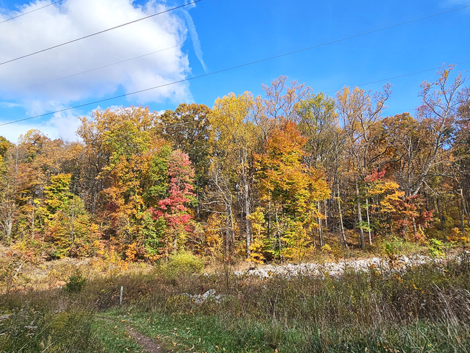Fall's paintbrush turns Boyd's canopy into a masterpiece of crimson and gold that makes leaf-peeping feel like discovering buried treasure.