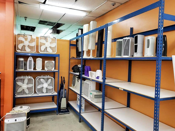 Beat the heat without breaking the bank. This fan collection proves one person's appliance upgrade is another's perfectly timed bargain.