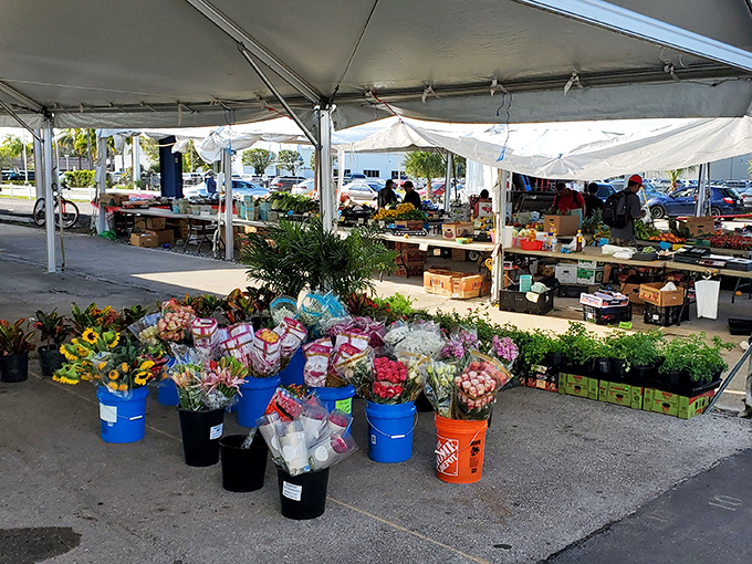 Nature's color palette bursts from every bucket. These blooms don't need Instagram filters to stop shoppers in their tracks.