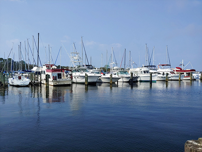 Boats bobbing like contented retirees who discovered their Social Security checks go further here than in overpriced coastal alternatives.