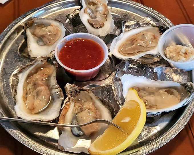 Fresh oysters glisten like edible pearls, each one a perfect bite of pure Atlantic magic.