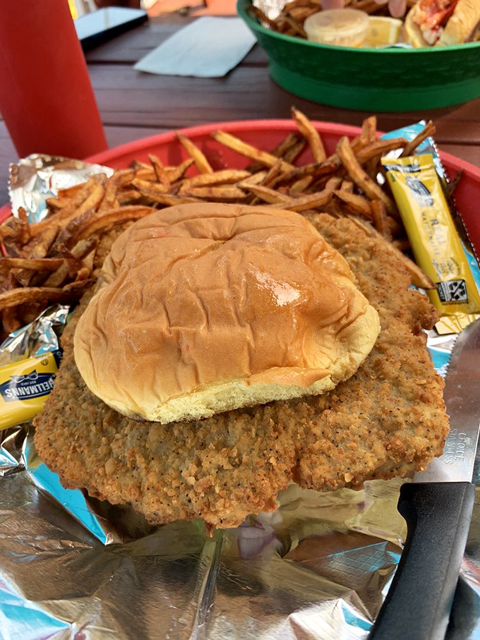 
This sandwich doesn't just hang over the plate&mdash;it establishes dominance. The golden-brown breading promises a crunch you'll hear in the next county. 