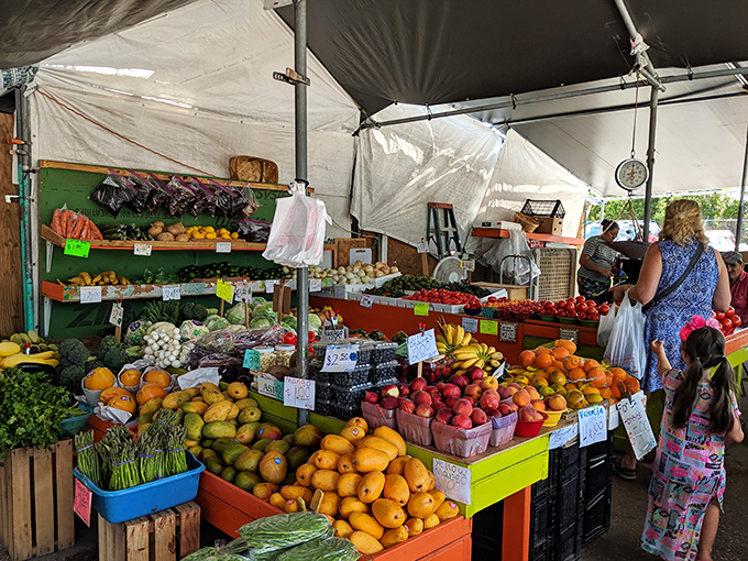 Florida's bounty displayed in technicolor glory. Mangoes, strawberries, and citrus that make grocery store produce look like sad imposters.