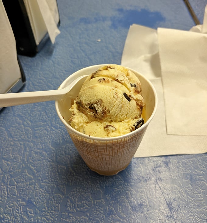 Simple perfection in a paper cup. This scoop proves that sometimes the most memorable Michigan experiences come without unnecessary frills.