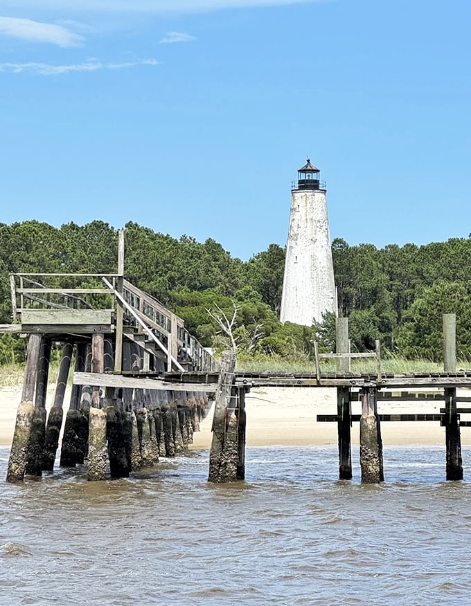The Georgetown Lighthouse rises from the water's edge like a weathered sea captain, still guiding boats and collecting stories after two centuries of storms.