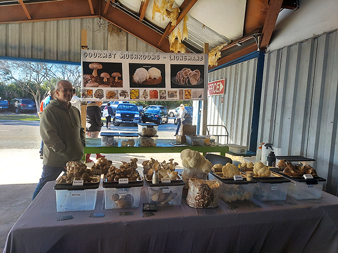 Fungi fantasia! These aren't your average grocery store mushrooms&mdash;they're conversation starters that might just inspire your next culinary adventure.