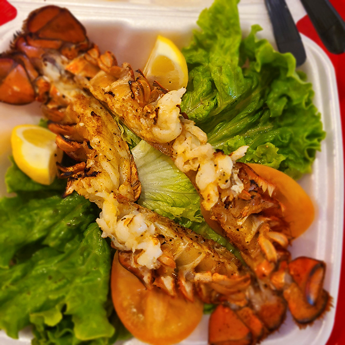 Lobster tails lounging on a bed of lettuce like they're at a spa retreat—except they're the treatment, and your taste buds are the grateful clients.