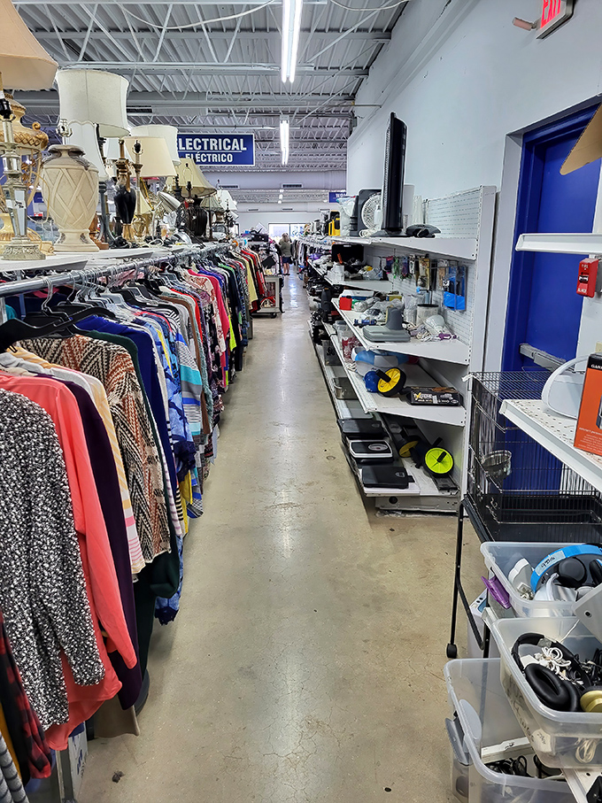 The electrical aisle &ndash; where vintage appliances and gadgets wait for their comeback tour. That iron might outlast anything made today.