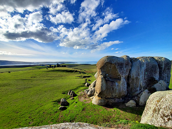 Rolling hills that would make Julie Andrews burst into song. The Sound of Music, California coastal edition.
