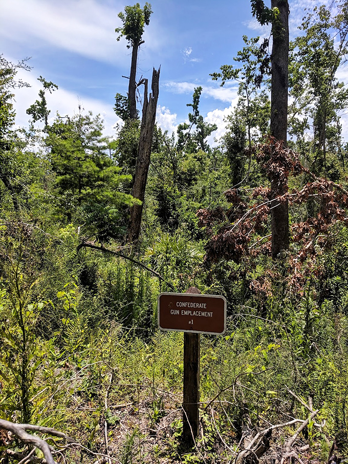 History buffs rejoice! This isn't just a walk in the woods &ndash; it's a time machine with better air conditioning.