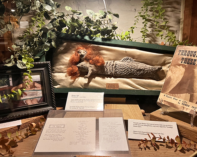 This mermaid taxidermy creation blurs the line between art and oddity, making you question what's real in the best possible way.