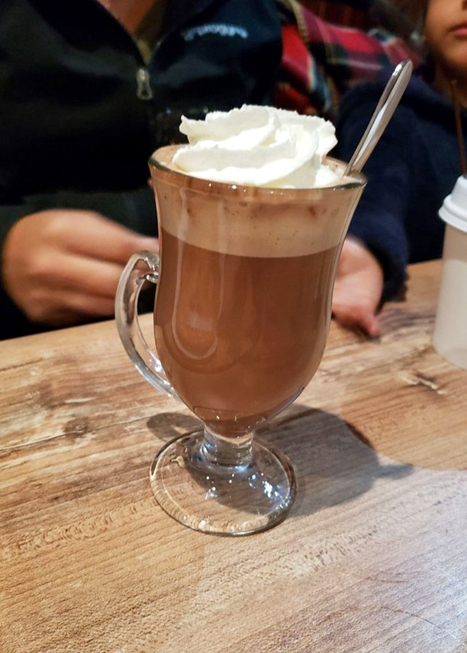 Hot chocolate that looks like it belongs in a Norman Rockwell painting of what happiness should taste like. That whipped cream mountain!