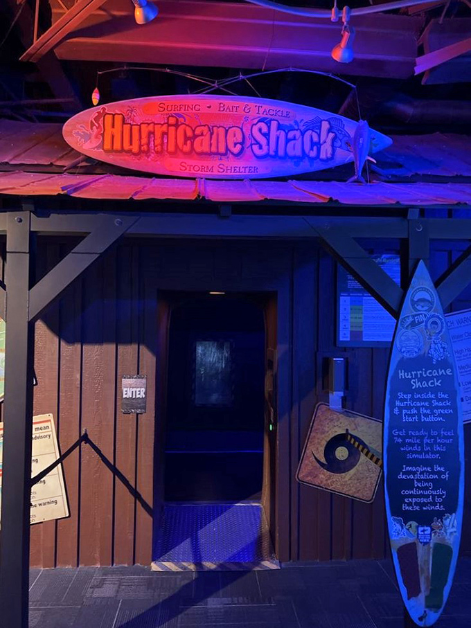 The Hurricane Shack awaits brave souls willing to experience nature's fury without the inconvenience of actual property damage.