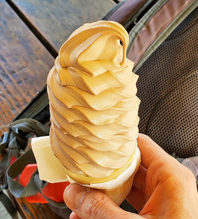 Soft-serve ice cream swirled to architectural perfection. In Chicago's summer heat, this is the dessert equivalent of finding an oasis.