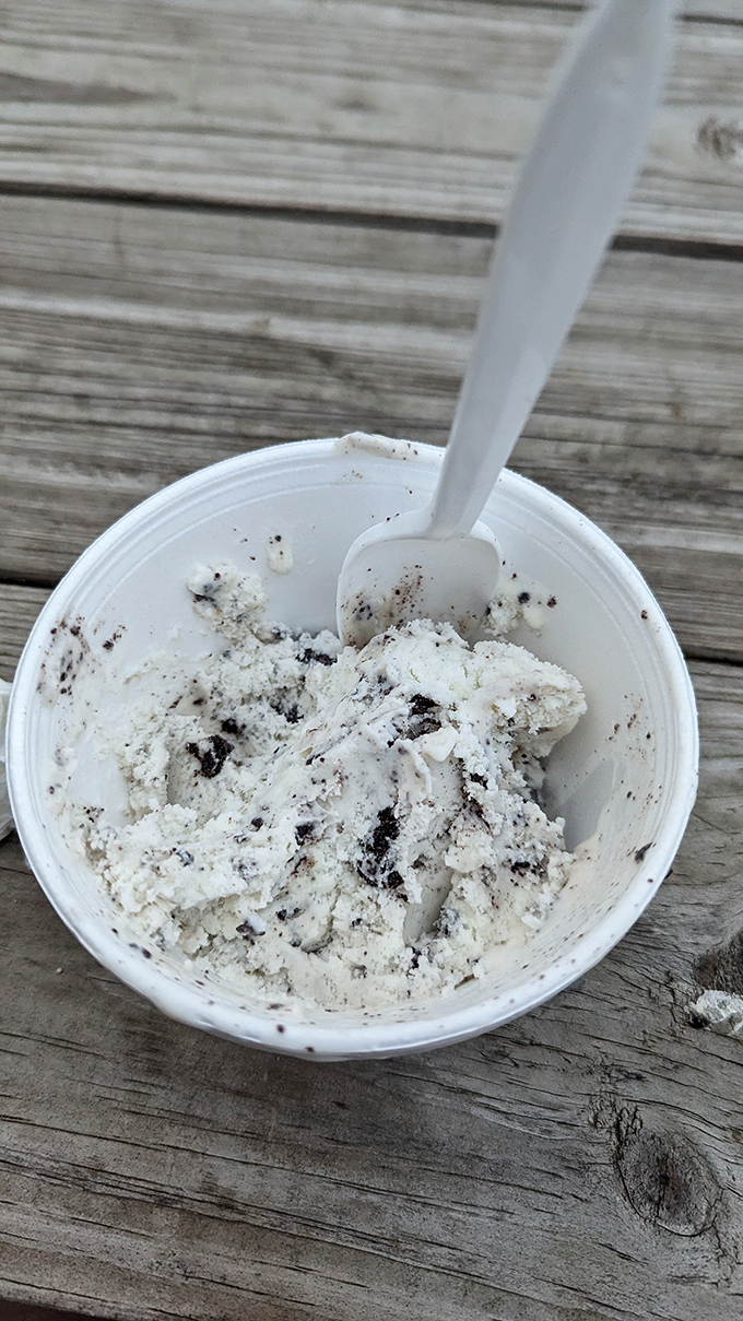 Cookies and cream ice cream with just the right amount of mix-ins. In the summer heat of Pennsylvania, this isn't just dessert &ndash; it's survival equipment.