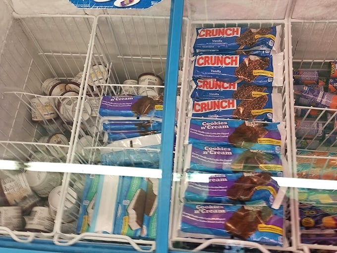 Frozen indulgences await behind frosty glass. Ice cream treats that taste like childhood summers without the inflation.