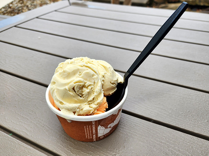 Ice cream that doesn't need sprinkles to impress, just pure creamy goodness in a cup. Summer in frozen form, waiting patiently for your spoon.