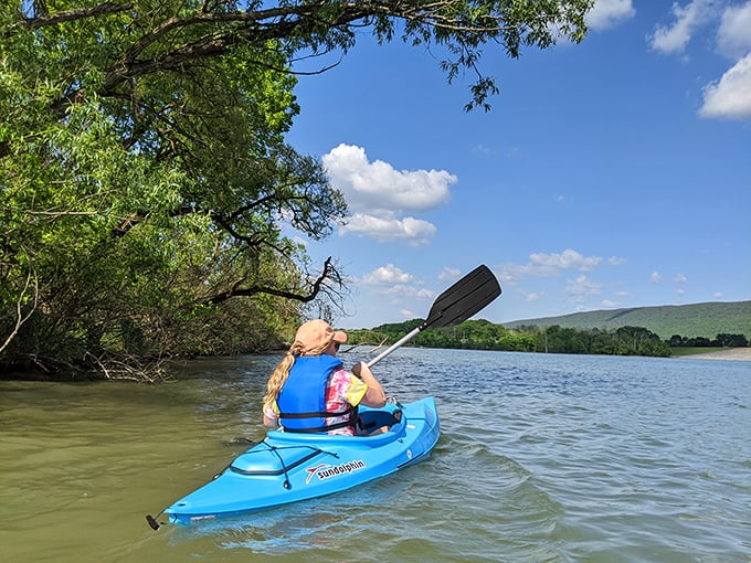 Kayaking the reservoir's calm waters offers front-row seats to Pennsylvania's mountain show &ndash; no ticket required, just a willingness to paddle. 