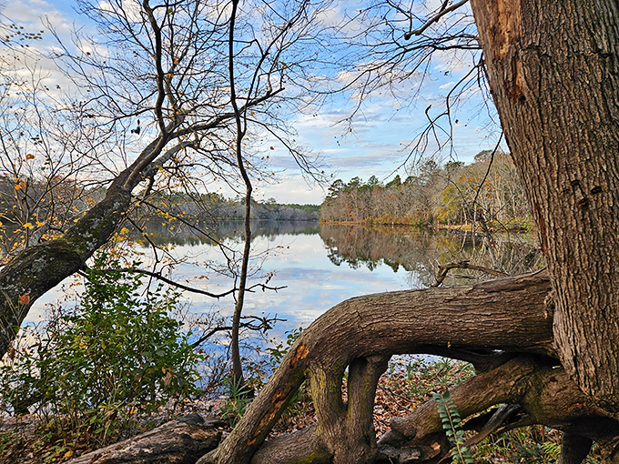 Kendall Lake Park offers peaceful water vistas and fishing opportunities, proving that million-dollar views don't have to come with matching price tags.