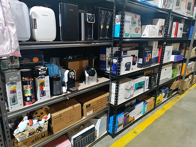 Modern kitchen gadgets line the shelves like technological soldiers waiting for deployment. Yesterday's infomercial stars find new homes here.