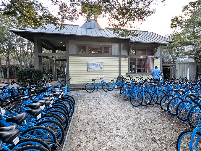 Bike heaven exists, and it's painted entirely in matching blue. La Dolce Vita's rental fleet stands ready for your pedal-powered adventures.