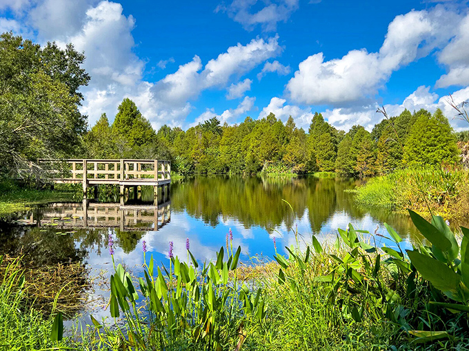 Mirror-like waters reflect clouds that seem to be showing off just for you. Lake living at its most photogenic.