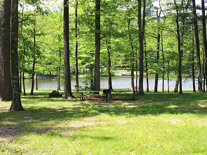 Lakeside dining with a view that beats any 5-star restaurant. The only reservation needed is the one you made months ago. 