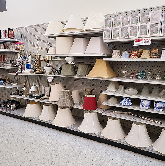 Lampshade heaven! The lighting section could illuminate a small village. Your perfect reading lamp is hiding here, waiting to brighten your life.