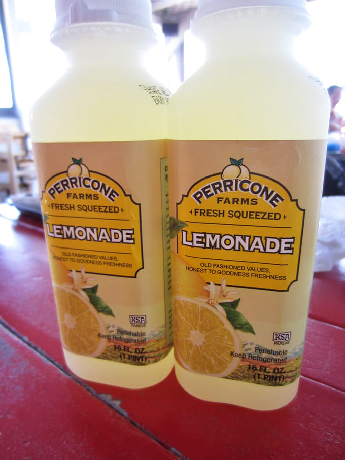 Perricone Farms lemonade: because after all that salt, you need something sweet. The perfect palate cleanser between bites of oceanic bliss.
