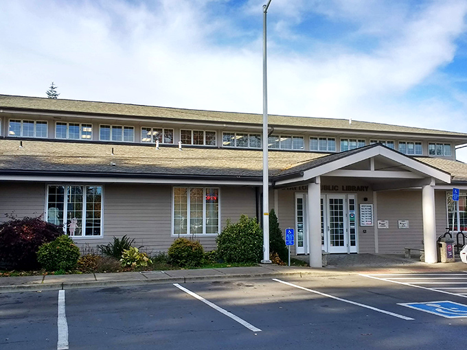 Libraries: still providing free entertainment since before Netflix was even a twinkle in the internet's eye.